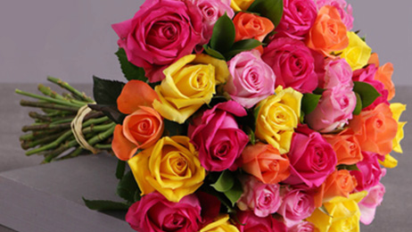 Smart Shopper Partners | PnP