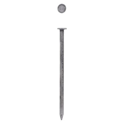 Eureka Nail Wire Flat Head 100mm 200g | PnP