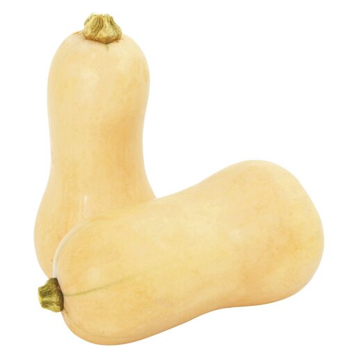 Butternut Carry Bag | PnP