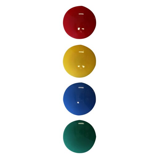 Parrot Circle Magnets 40mm 4 Pack | PnP