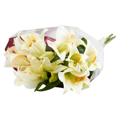 PnP Assorted Lily 1 Piece | PnP