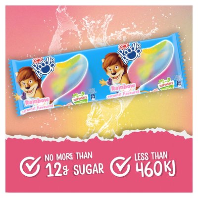 Ola Paddlepop Ice Cream Rainbow 60ml | PnP