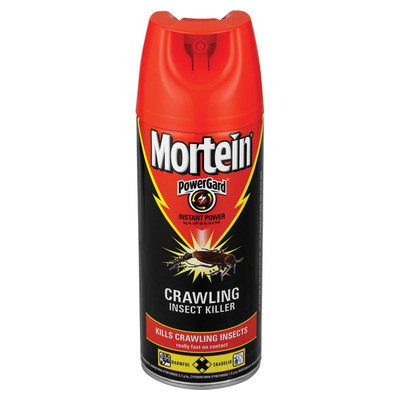 Mortein Crawling Instant Kill Instant Power 300ml | PnP