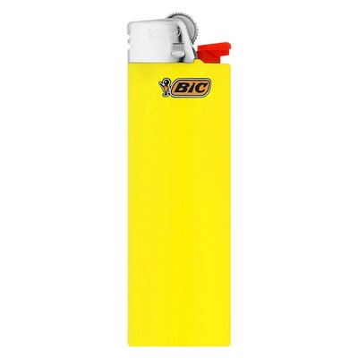 Bic Assorted Mini Lighter | PnP