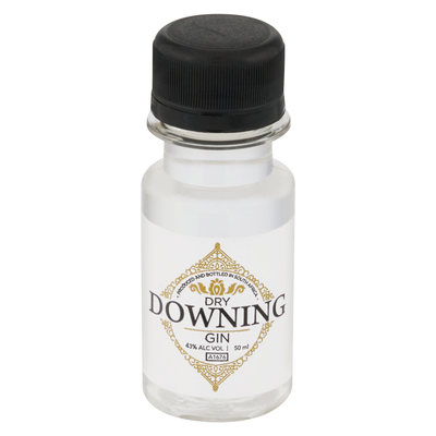 Downing Dry Gin 50ml | PnP