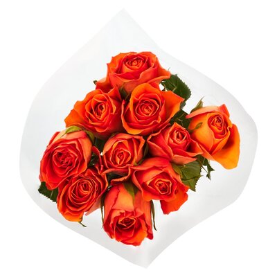 PnP 50cm Mix Roses | PnP