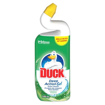 Duck 5In1 Forest Fresh Liquid 500ml | PnP