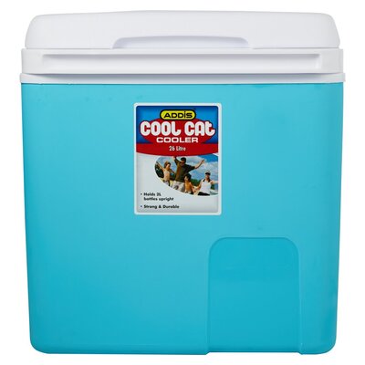 Addis Turquoise Coolcat Cooler Box 26L | Smart Price Specials | PnP Home