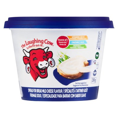 The Laughing Cow Mild Cheddar Spread 250g | PnP