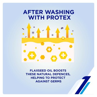 Protex Fresh Antigerm Liquid Hand Soap 300ml | PnP