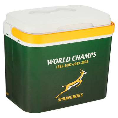 Addis Springbok Coolmate Cooler Box 10L | PnP