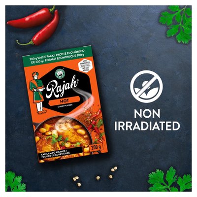 Robertsons Rajah Hot Curry Powder 200g | PnP