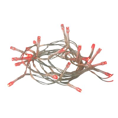 Simple Light 20 Led Battery Operated Light Chain | PnP