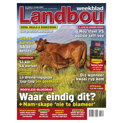 Barbie Magazine | PnP