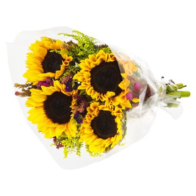 PnP Pocket Sunflower | PnP