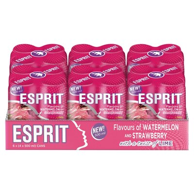 Esprit Watermelon & Strawberry 24 x 500ml | PnP