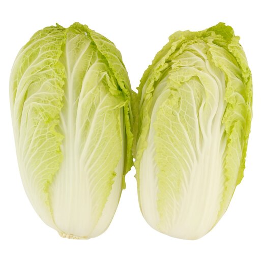 Chinese Cabbage Pp | PnP