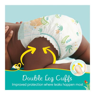 Pampers Baby Dry Size 4+ Jumbo Pack 62 Nappies | Smart Price Specials ...