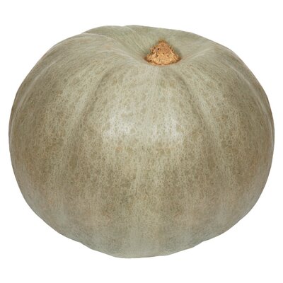 PnP Blue Pumpkin | PnP