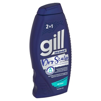 Gill 2in1 Dry Scalp Shampoo 400ml | PnP