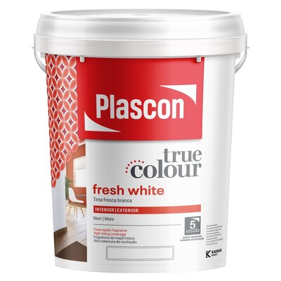 Plascon True Colour Roof Paint Grey 20L | PnP