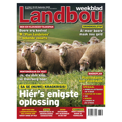 Kick Off Magazine | PnP