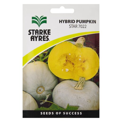 Starke Ayres Pumpkin Seed 15g | Smart Price Specials | PnP Home