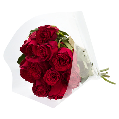 PnP Mix Roses 50cm | PnP