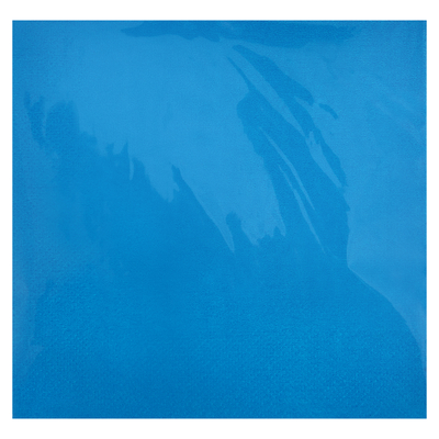 Serviettes | Serviettes & Roller Towel | Smart Price Specials | PnP