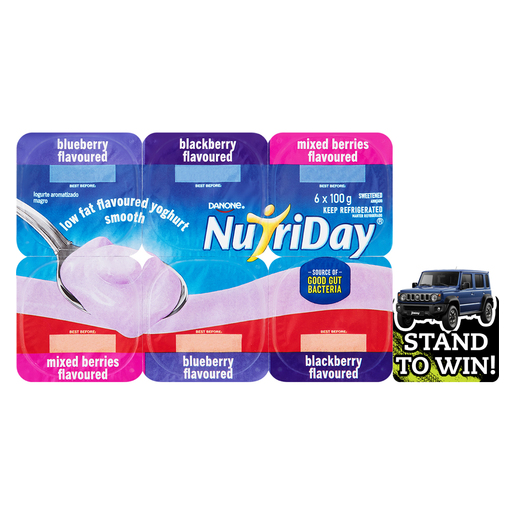 Danone Nutriday Low Fat Smooth Berry Medley Dairy Snack 6 x 100g ...