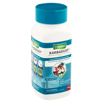 Efekto Karbadust 100g | Smart Price Specials | PnP Home