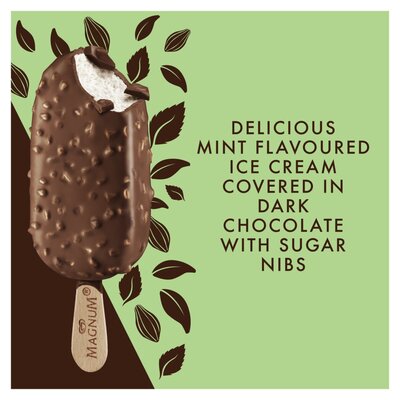 Magnum Mint 100ml | PnP