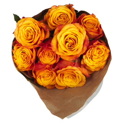 PnP Glow Roses 50cm | PnP