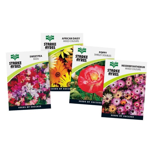 Starke Ayres Winter Flower Per Packet 15g | PnP