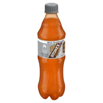 Stoney Ginger Beer Zero 500ml | PnP