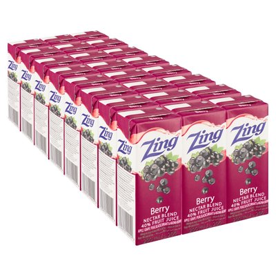 Zing Berry Nectar 200ml x 24 | PnP