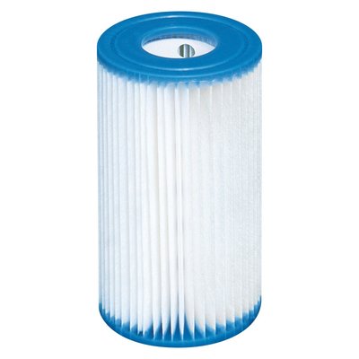 Intex Filter Cartridge | PnP
