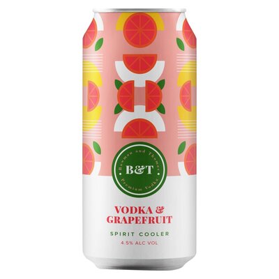 Tipo Tinto R&R Can 24 x 440ml | PnP