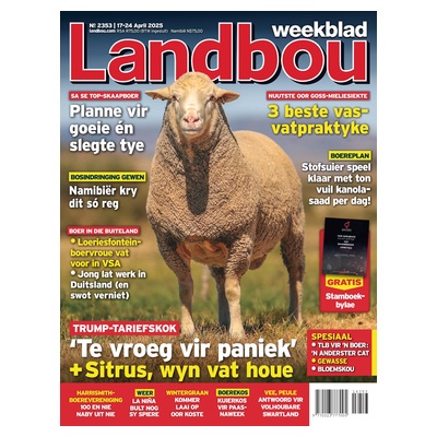 Speed & Sound Magazine | PnP