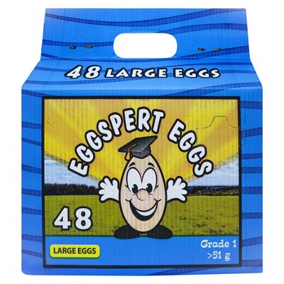 Eggspert Large Eggs 48 Pack | PnP