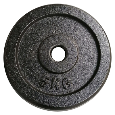 Livefit Barbell Disc 2.5kg | PnP