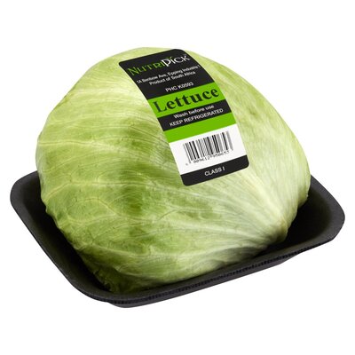 Lettuce Head | PnP