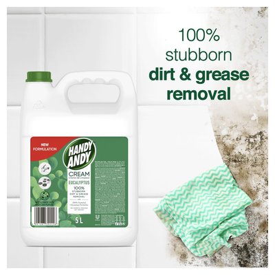 Handy Andy Eucalyptus Multipurpose Cleaning Cream 5L | PnP