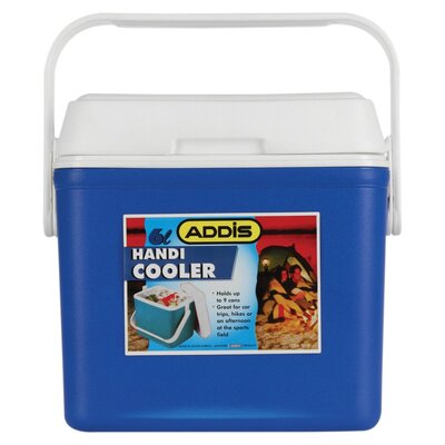 Addis Blue 6L Cooler Box | PnP