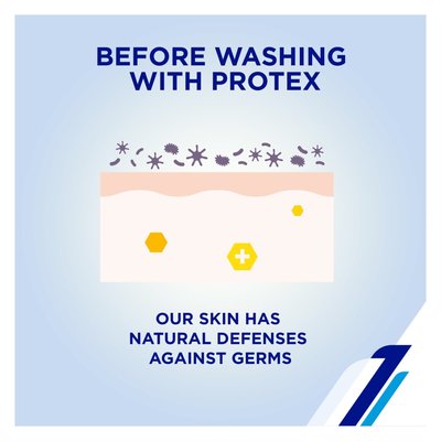 Protex Gentle Antigerm Bath Soap 200g | PnP