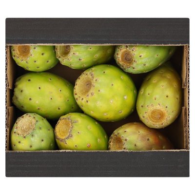 PnP Prickly Pear 1/2 Tray | PnP