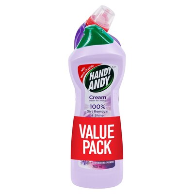 All Purpose Cleaner Handy Andy & Domestos Value Pack | PnP