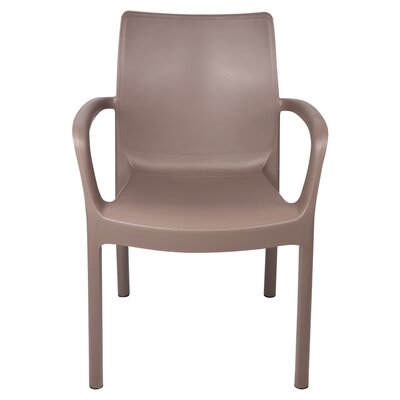 Addis Marilyn Armchair Cappuccino | Smart Price Specials | PnP Home