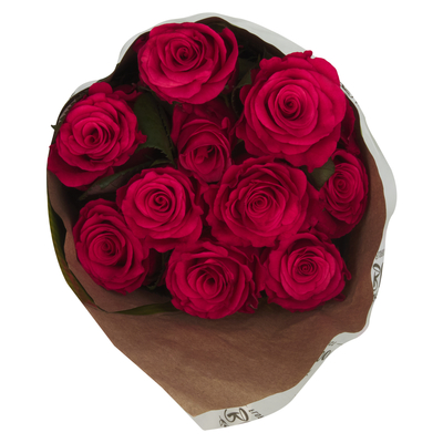 PnP Blush Roses 50cm | PnP
