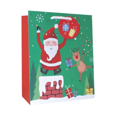 Creative Assorted Medium Gift Bag | PnP